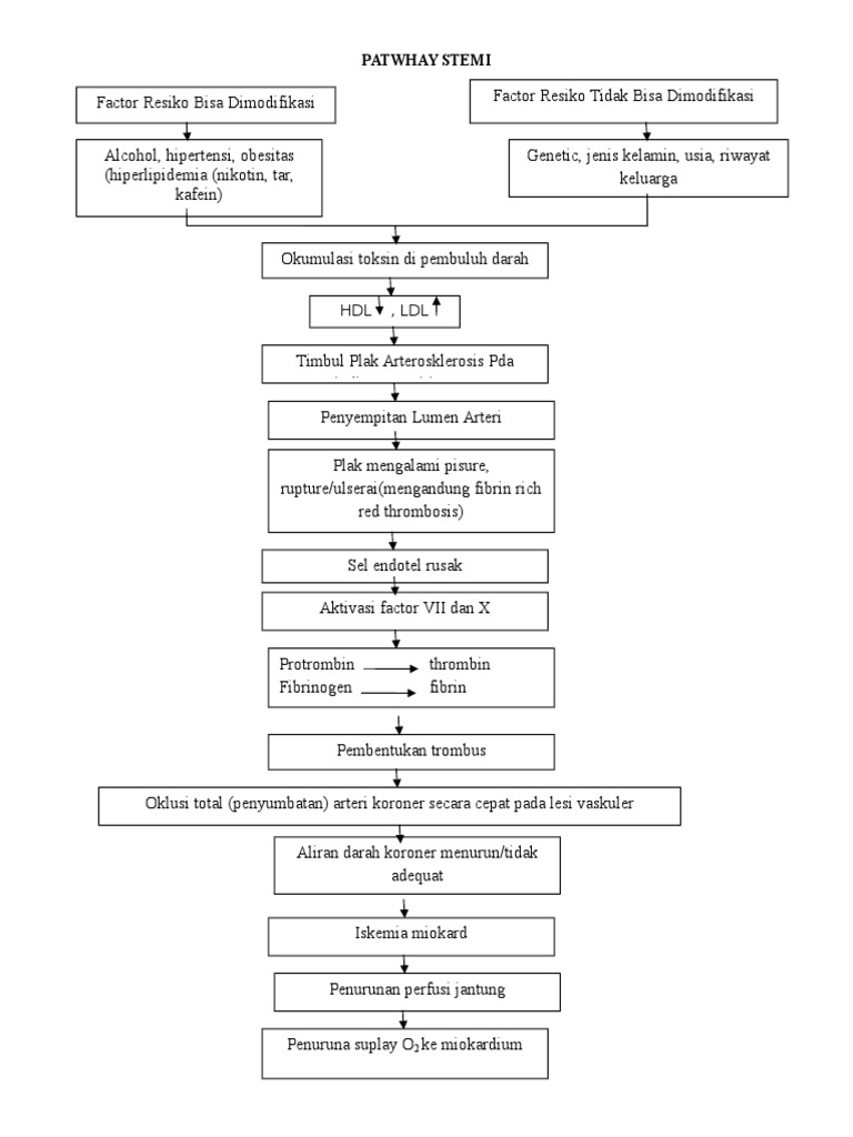Patofisiologi Stemi | PDF