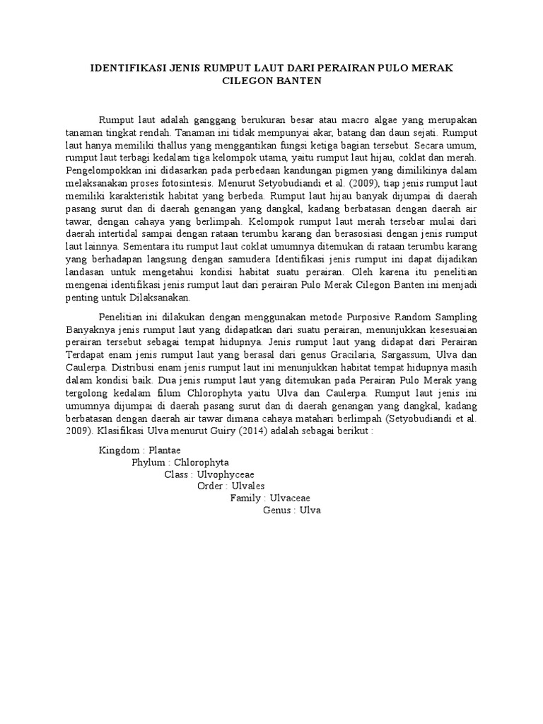 Identifikasi Jenis Rumput Laut Dari Perairan Pulo Merak Cilegon Banten ...