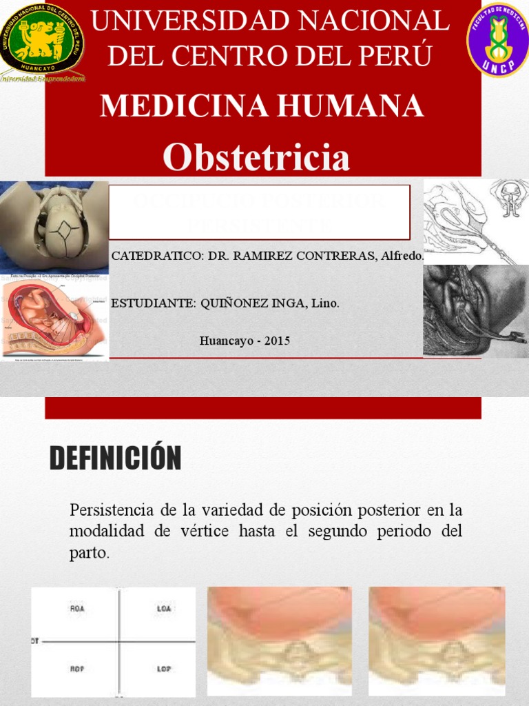 Occipucio Posterior Persistente | Descargar gratis PDF | Pelvis | Parto