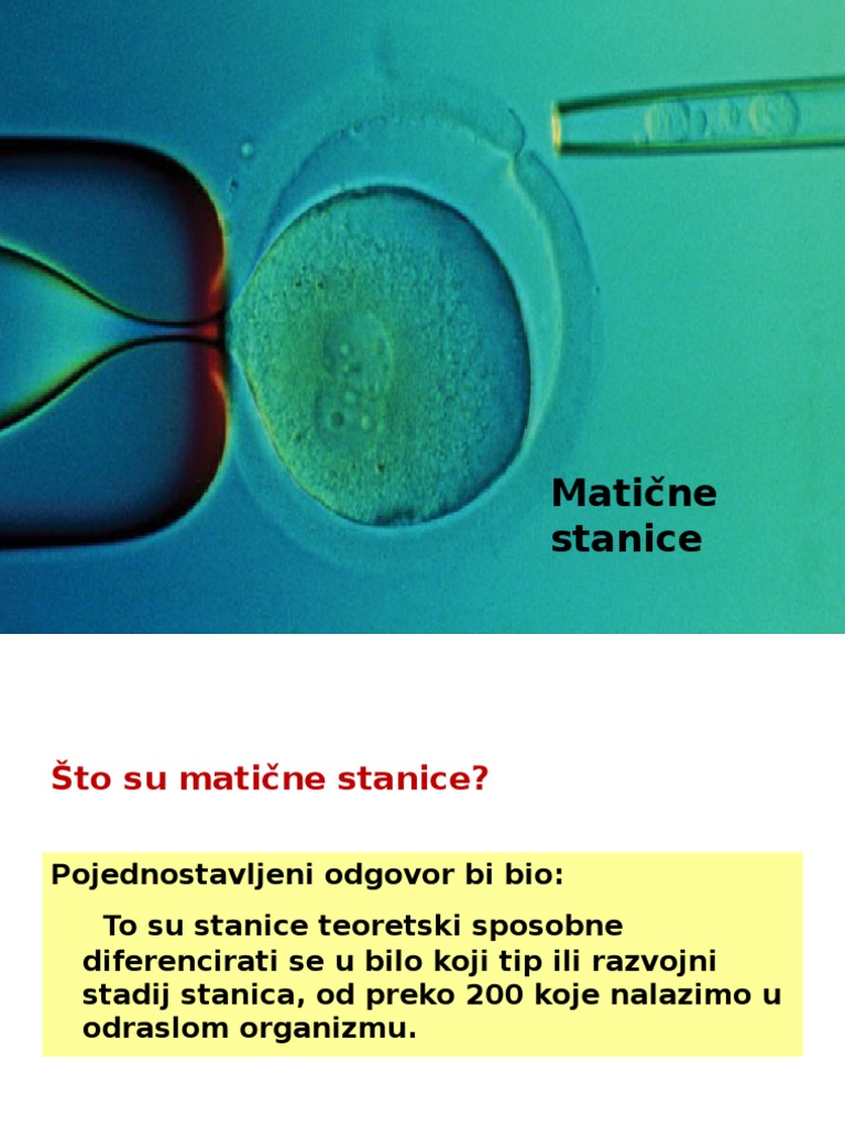 Matične Stanice - Novo | PDF