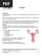 C-Section Guide | PDF | Caesarean Section | Childbirth