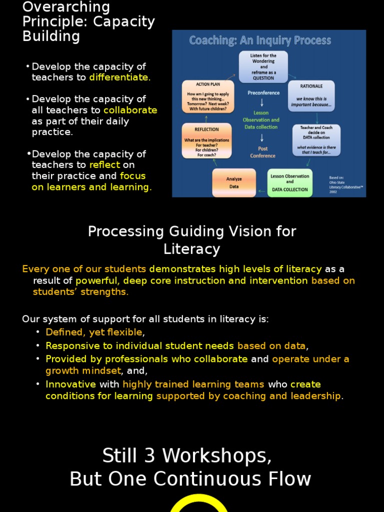 Capacity Building for Literacy Instruction | PDF