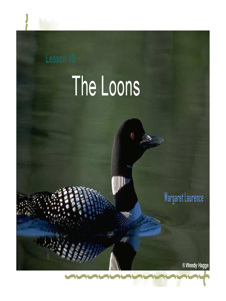 Loons | PDF