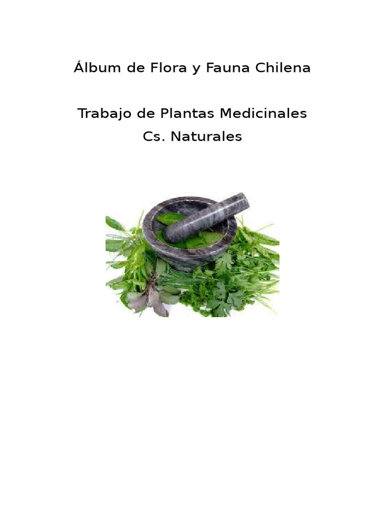 Álbum de Flora y Fauna Chilena | PDF | Riego | Hoja