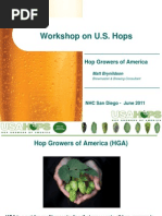 Brewing Grain Substitution Guide | PDF | Malt | Ale