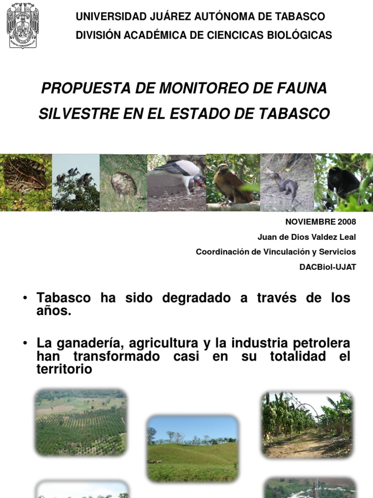 Fauna y Flora en Tabasco | PDF | Entorno natural | Conservación