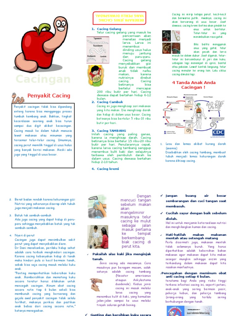 Leaflet Cacingan