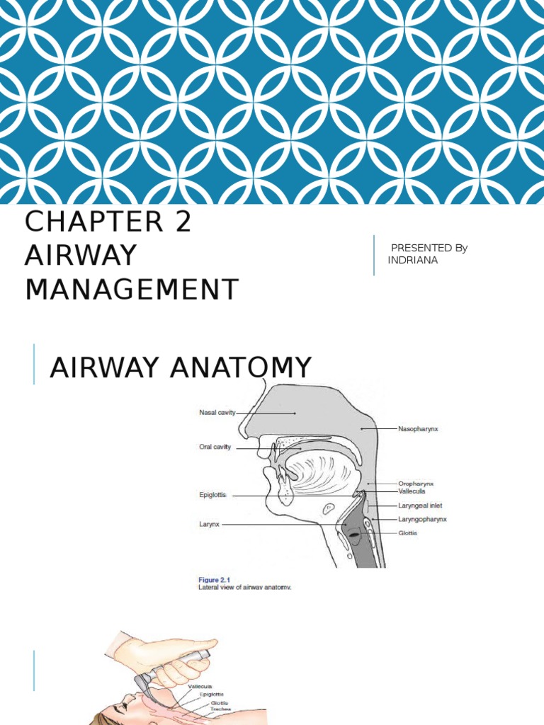 Airway Management Techniques and Protocols | PDF