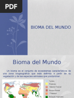Triorama Ecosistemas Ii | PDF
