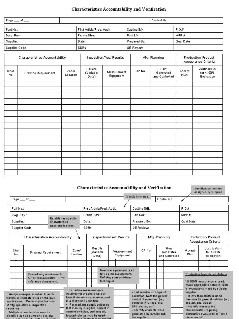 CAV Form | PDF | Audit | Business