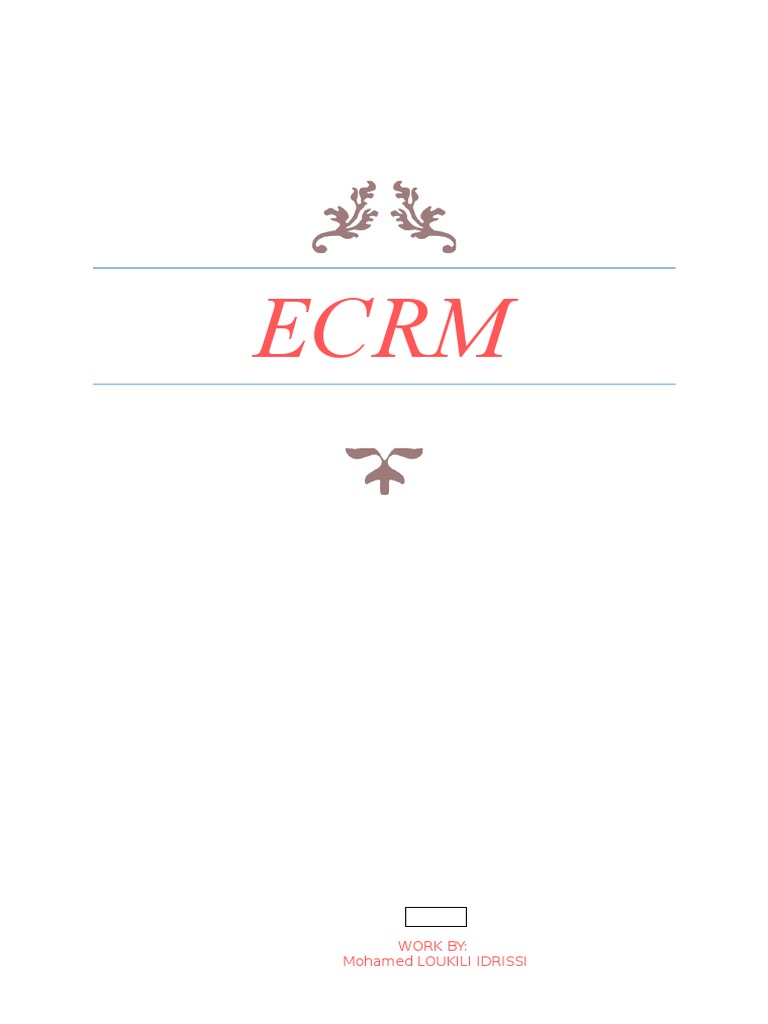 ECRM Electronic Customer Relationship Management | PDF | Customer Relationship Management | Call ...
