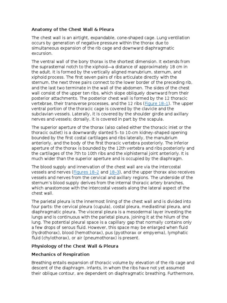 Anatomy of The Chest Wall | PDF | Thorax | Lung