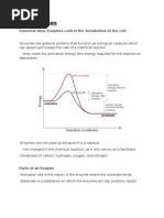 Cell Transport Concept-Map | PDF | Membrane Biology | Life Sciences