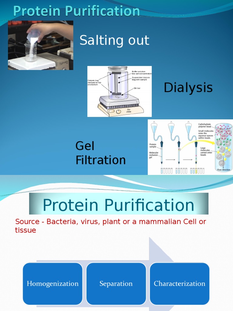 Protein Purification | PDF | Protein Purification | Chromatography