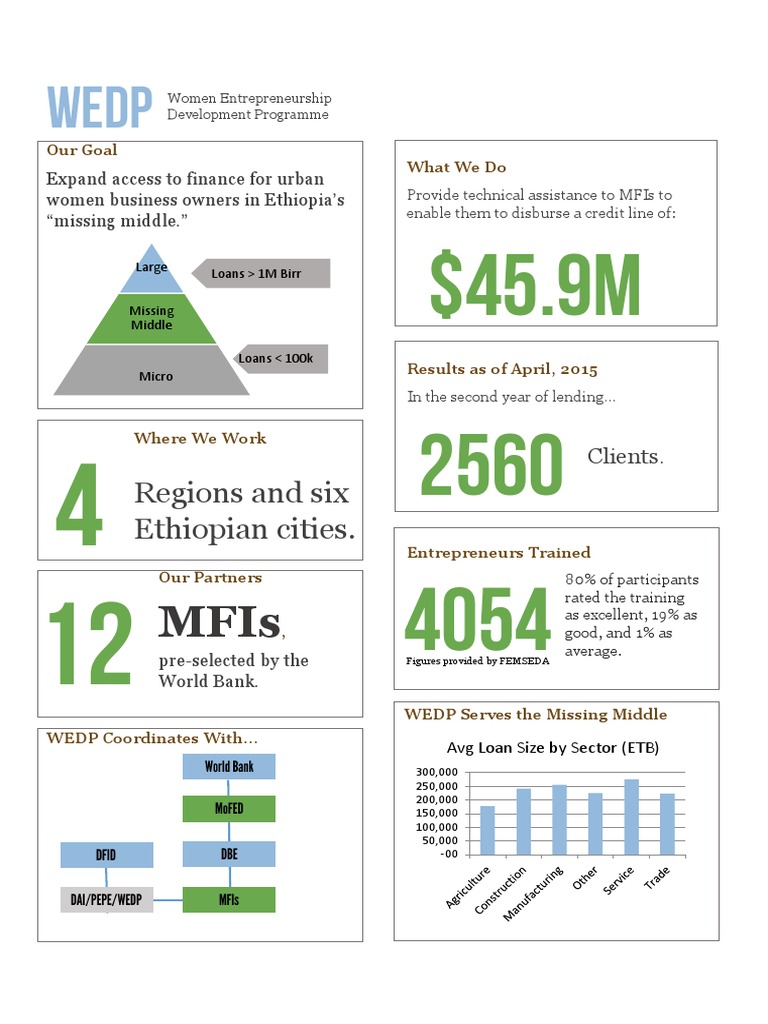 Empowering Women Entrepreneurs in Ethiopia | PDF | Microfinance ...