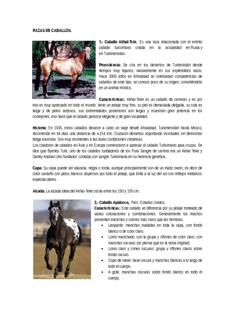 Razas de Caballos | PDF | Caballos | Razas de mamíferos