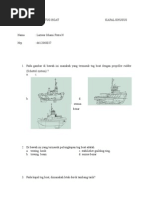 Pertamina CLSR 2024 Guideline | PDF