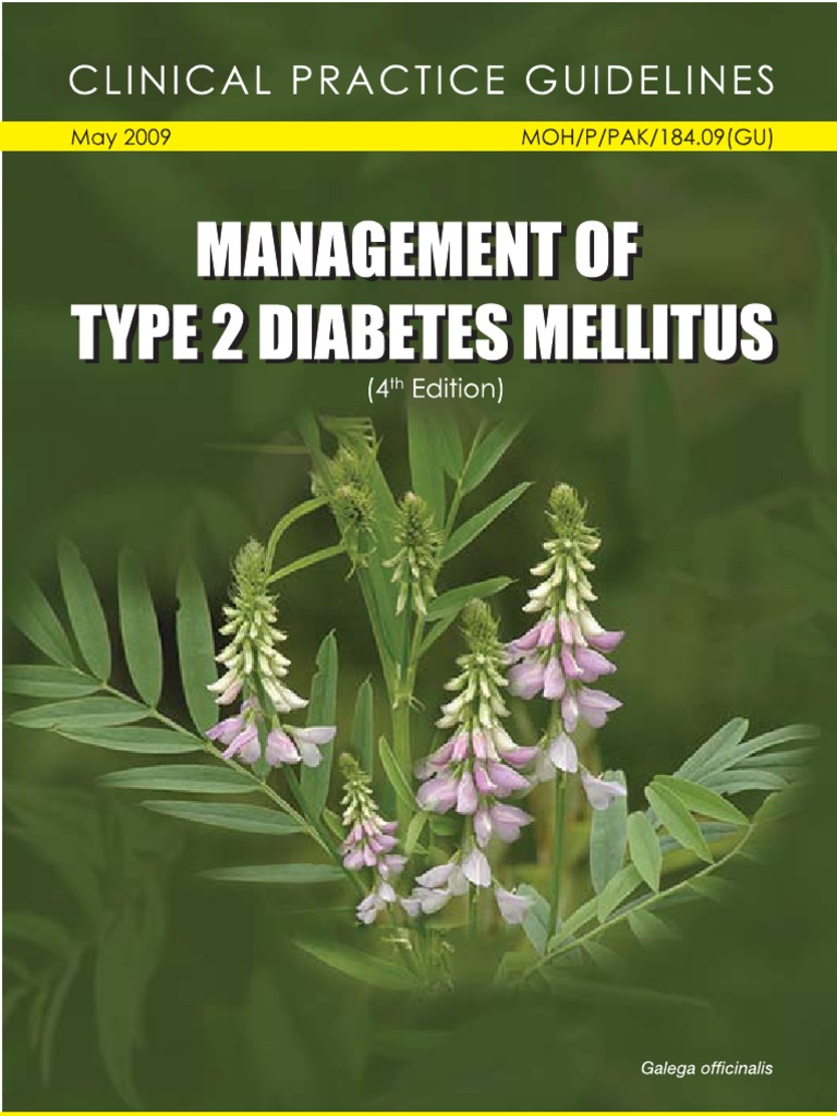 CPG Management of Type 2 Diabetes Mellitus (4th Edition) | PDF ...