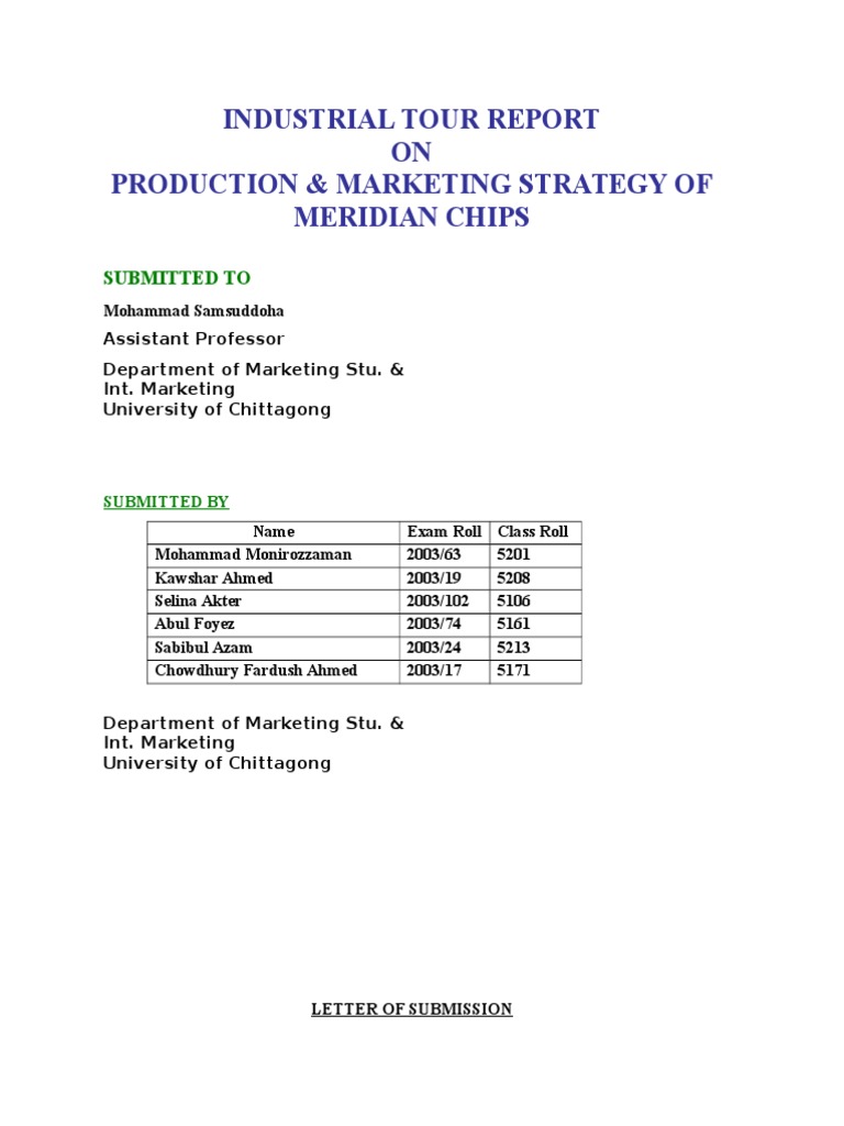 Z - Meridian Chips | PDF | New Product Development | Marketing