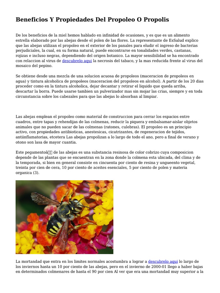 Beneficios Y Propiedades Del Propoleo O Propolis | PDF | Miel | Abejas