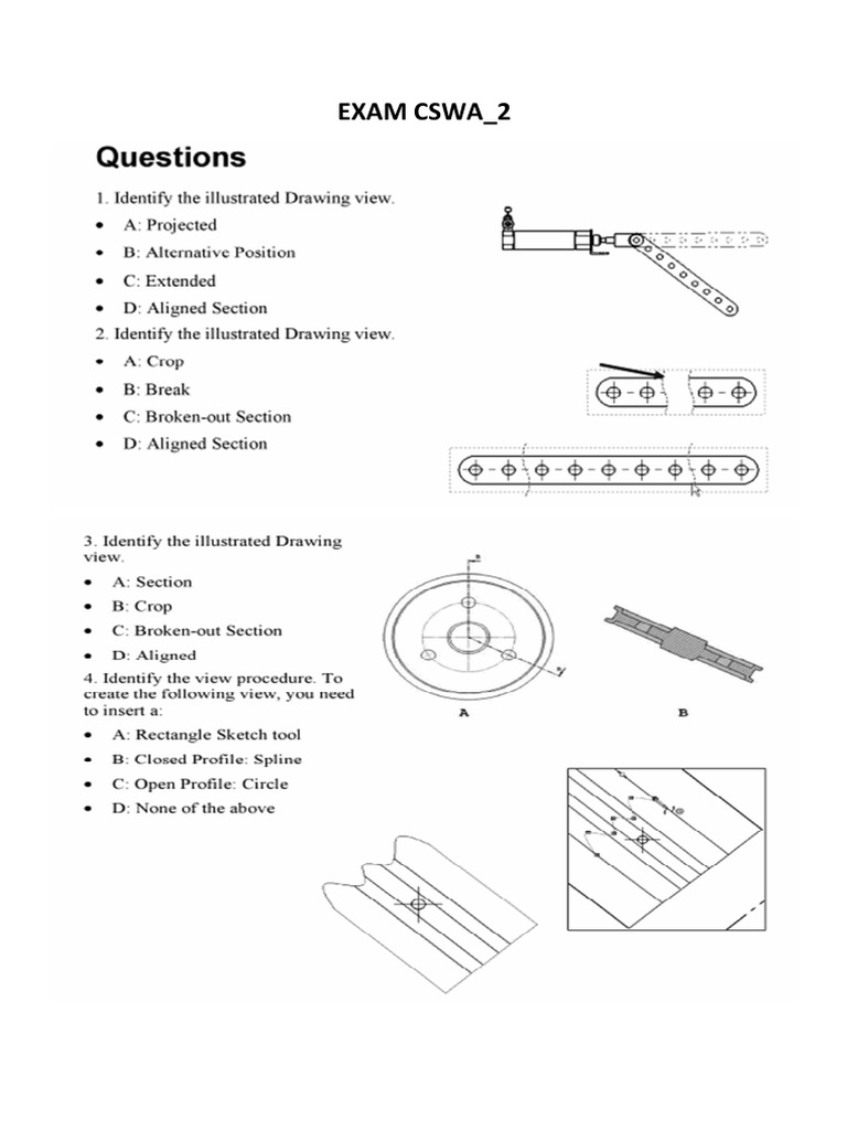 CSWA Exam Question 10 Guide | PDF
