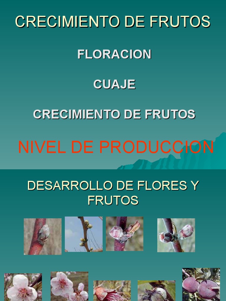 Curva Doble Sigmoidea en Frutos | PDF | melocotón | Fruta