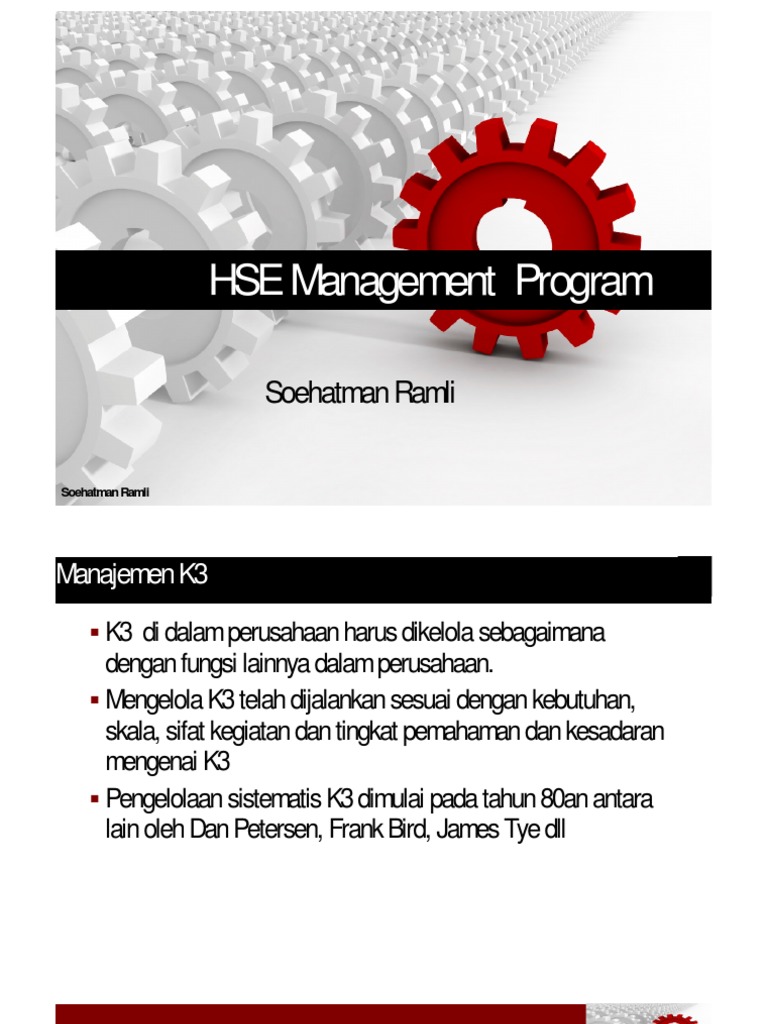 HSE Management Program | PDF