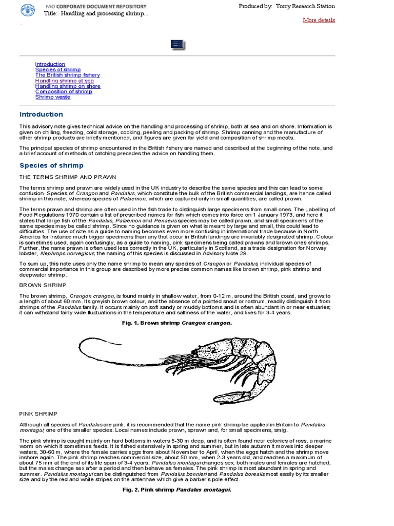 Shrimp Handling and Processing Guide | PDF | Refrigerator | Refrigeration