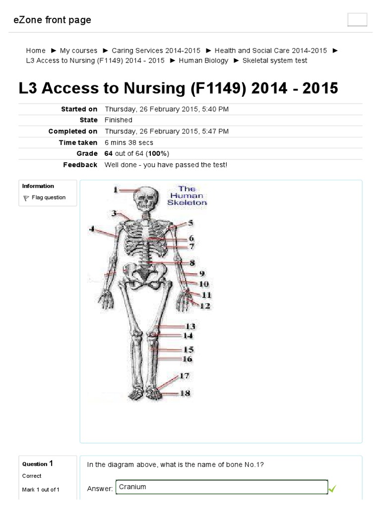 skeletal-system-test-pdf-pdf-bone-tissue-biology