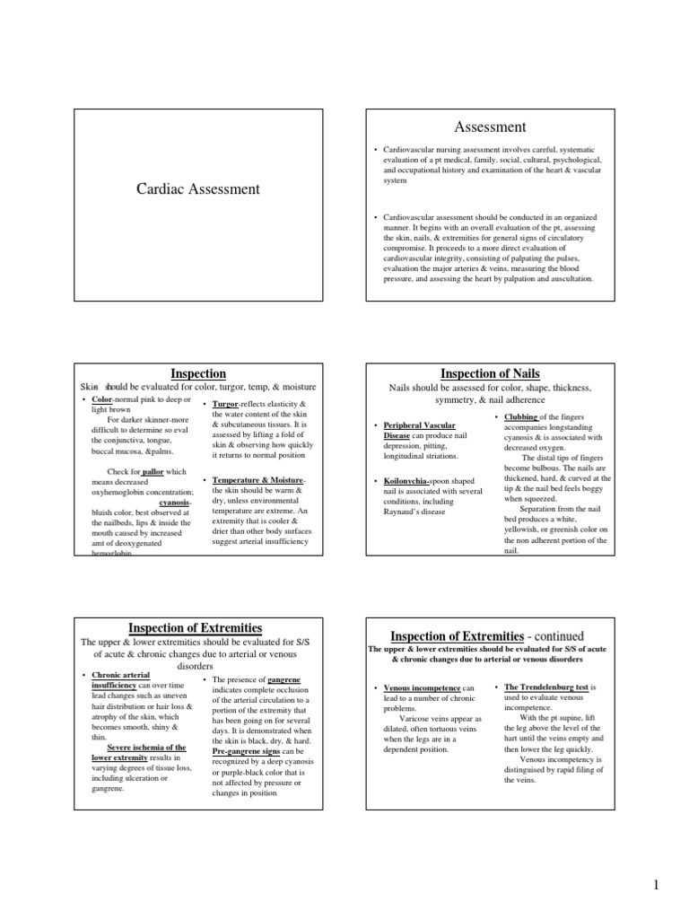 Cardiac Assessment | PDF | Heart Valve | Heart