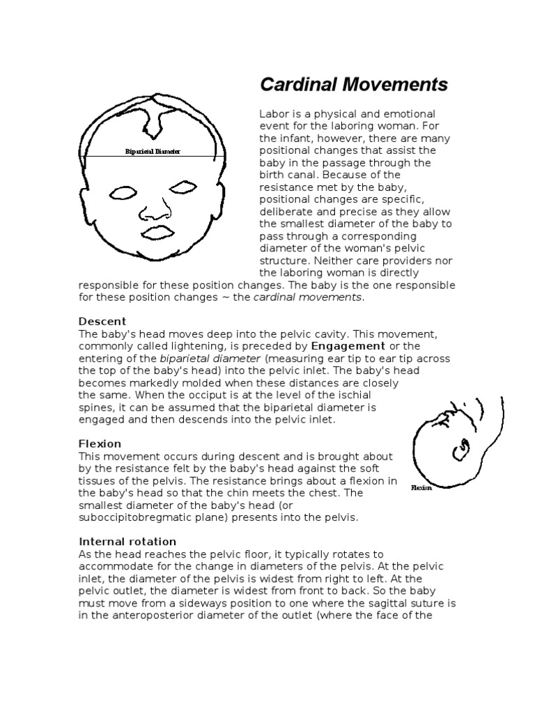 Cardinal Movements of Labor Explained | PDF | Pelvis | Childbirth
