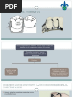 Protocolo Impresión Definitiva para Protesis Total | PDF | Dentadura ...
