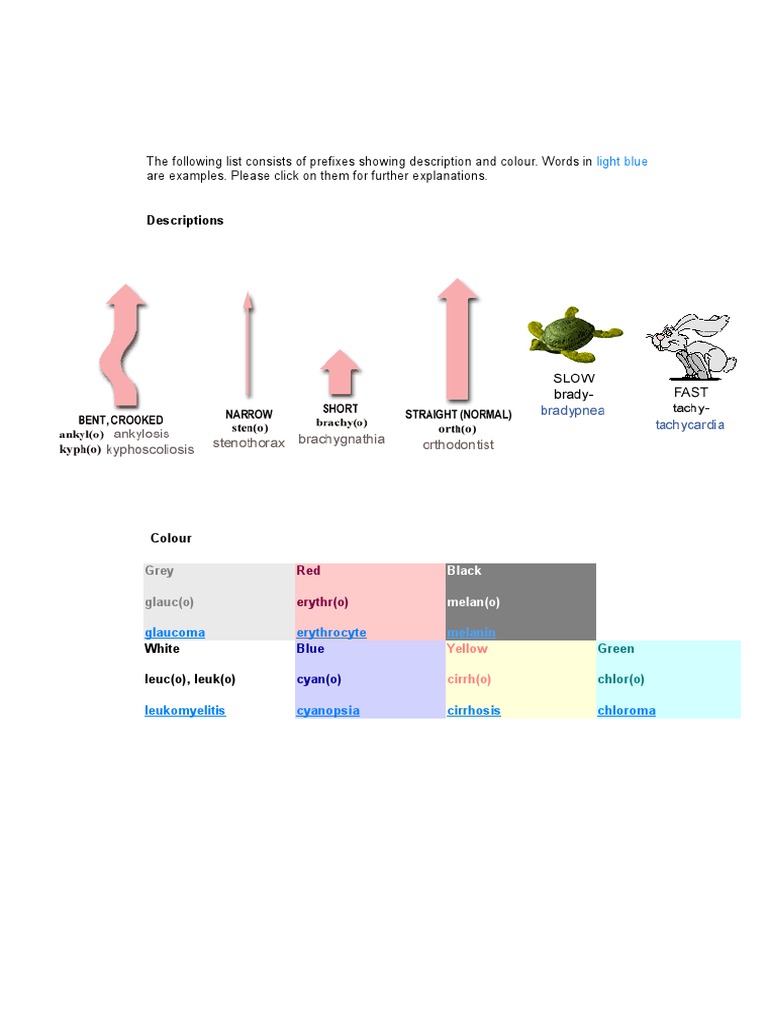 Medical Color Prefixes Explained | PDF
