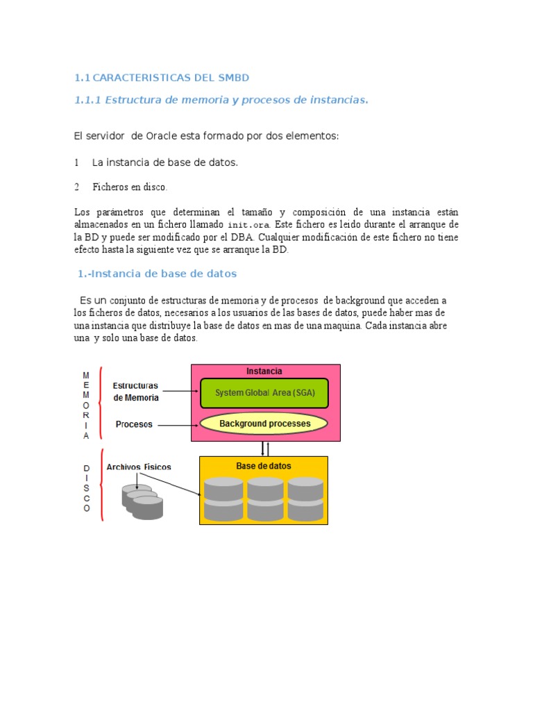 Caracteristicas Del SMBD | PDF | Almacenador intermediario de datos | Bases de datos