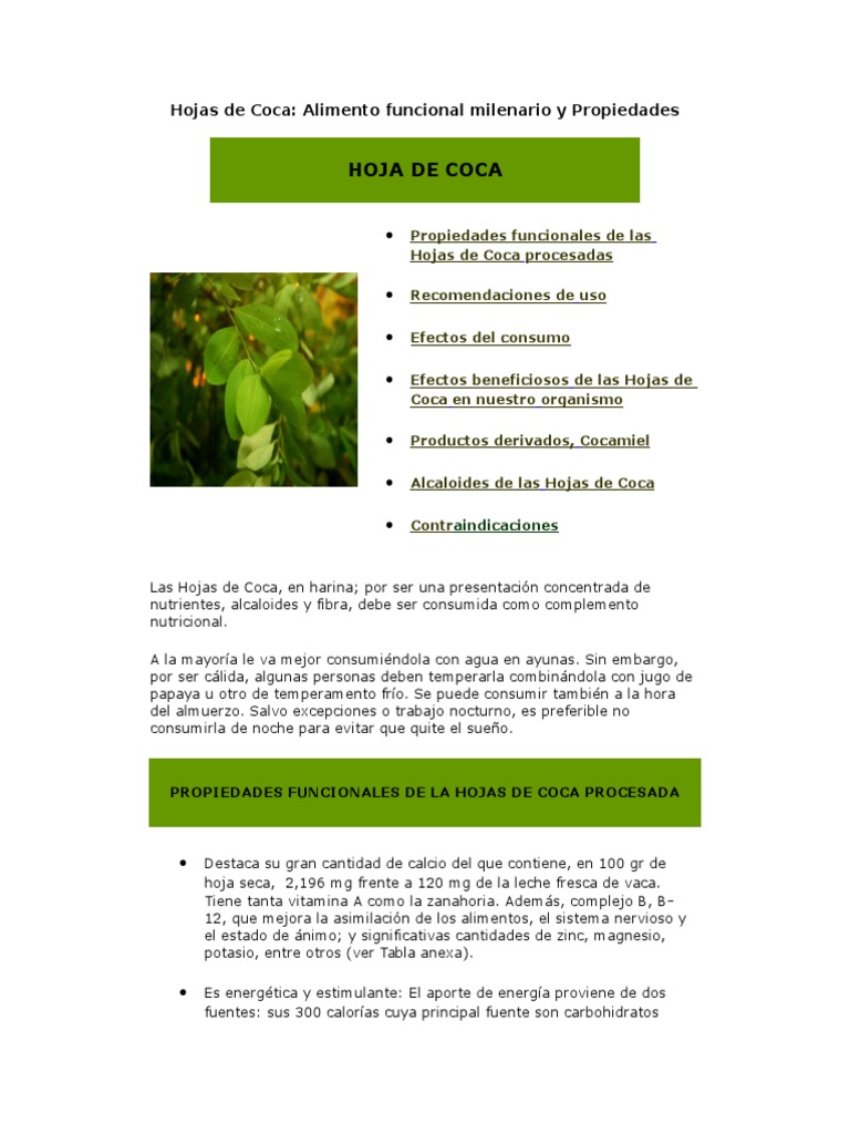 Hojas de Coca - Alimento Funcional Milenario y Propiedades | PDF ...