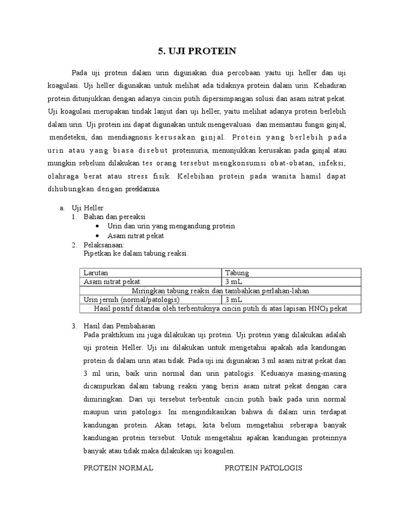 Uji Protein | PDF