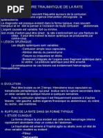 Anatomie de l'Aine et Canal Inguinal | PDF | Péritoine | Vaisseau sanguin