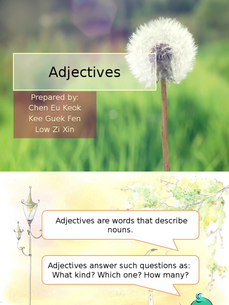 Understanding Adjectives and Their Types | PDF | Adjective | Linguistic ...