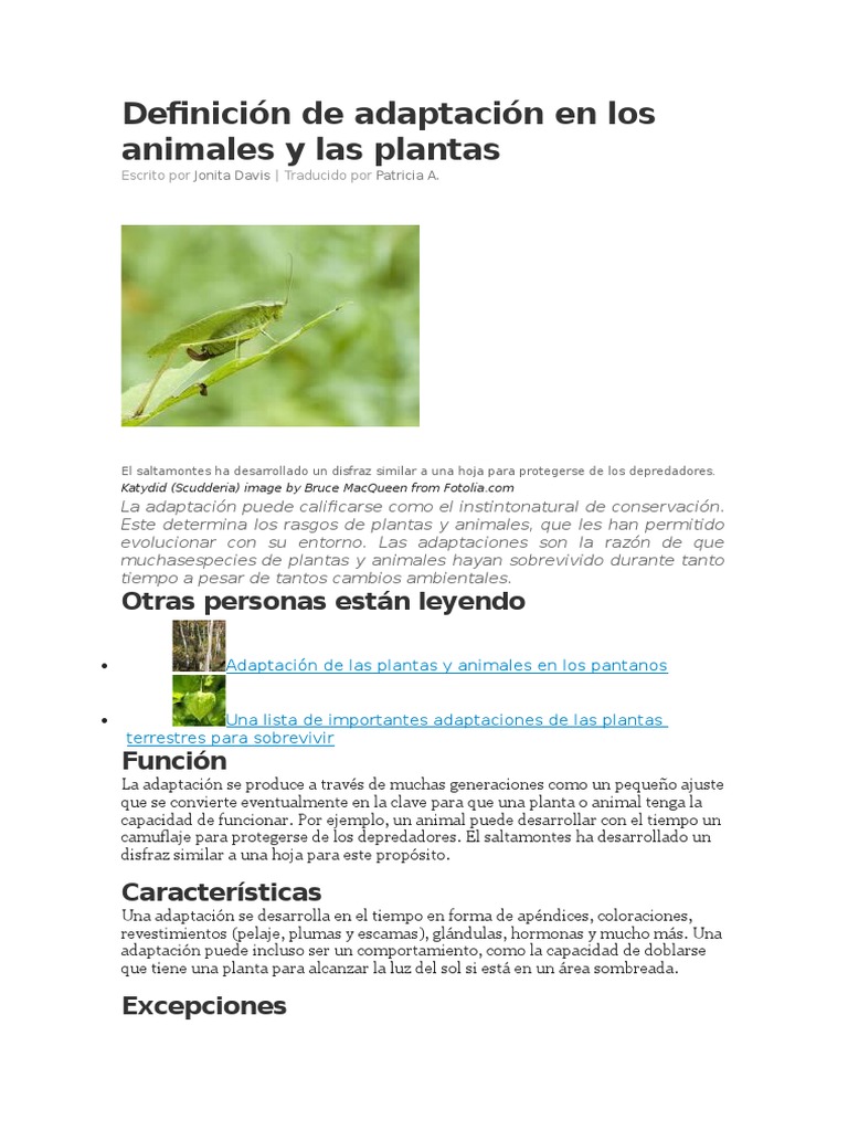 Definición de Adaptación en Los Animales y Las Plantas | Contaminación ...