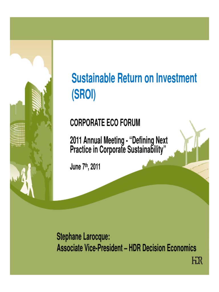 Sustainable Return On Investment | PDF | Net Present Value | Photovoltaics