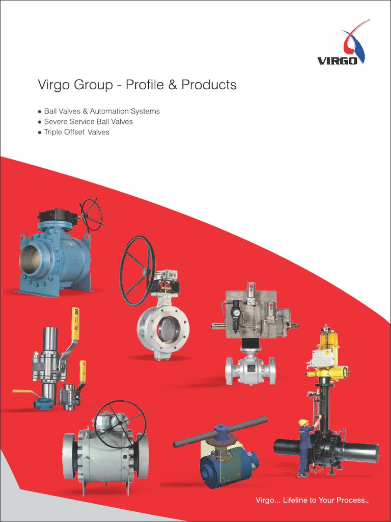Virgo - Product and Profile | Valve | Enterprise Resource Planning