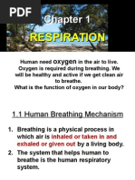 Form 2 Science Notes | PDF | Digestion | Flowers