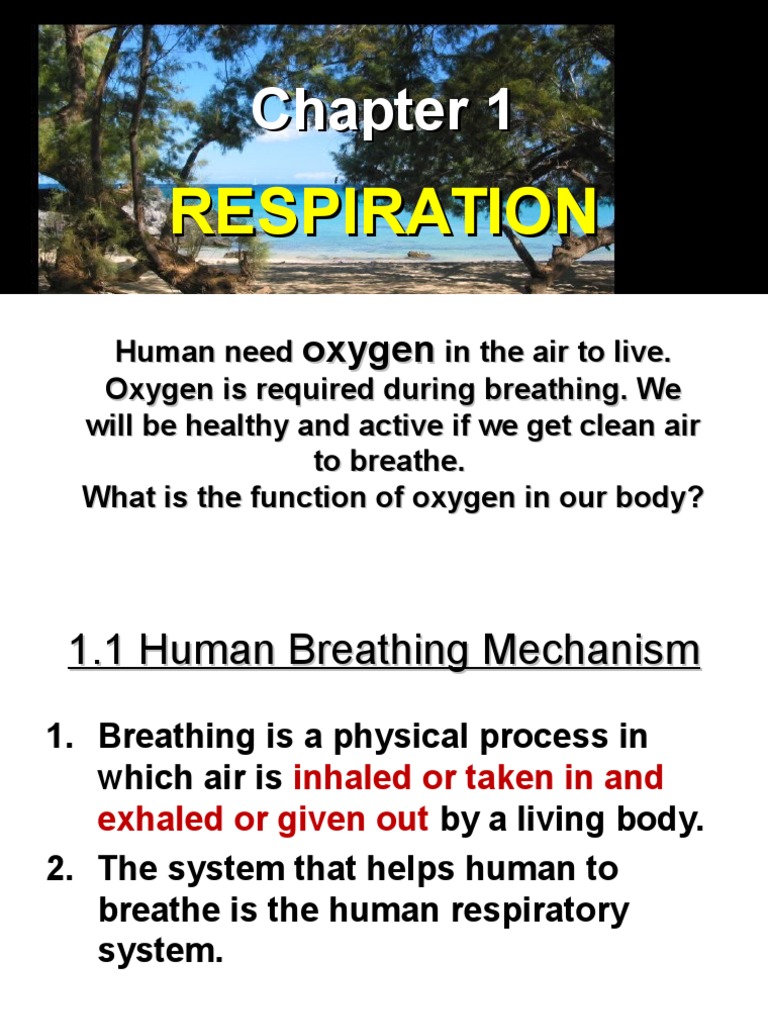Chapter 1 Science Form 1 | PDF | Respiratory System | Breathing Chapter 1 Science Form 1 | PDF | Respiratory System | Breathing