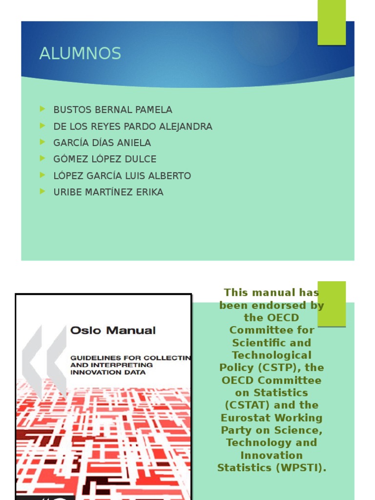 Oslo Manual Pdf Innovation Business