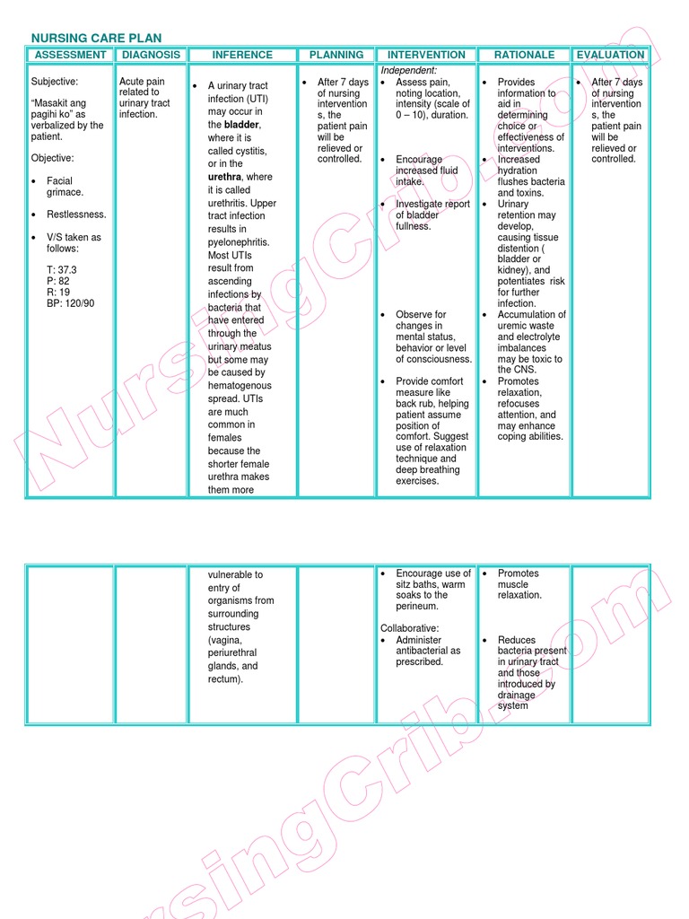 Nursing Care Plan - Uti | PDF | Urinary Tract Infection | Urinary System