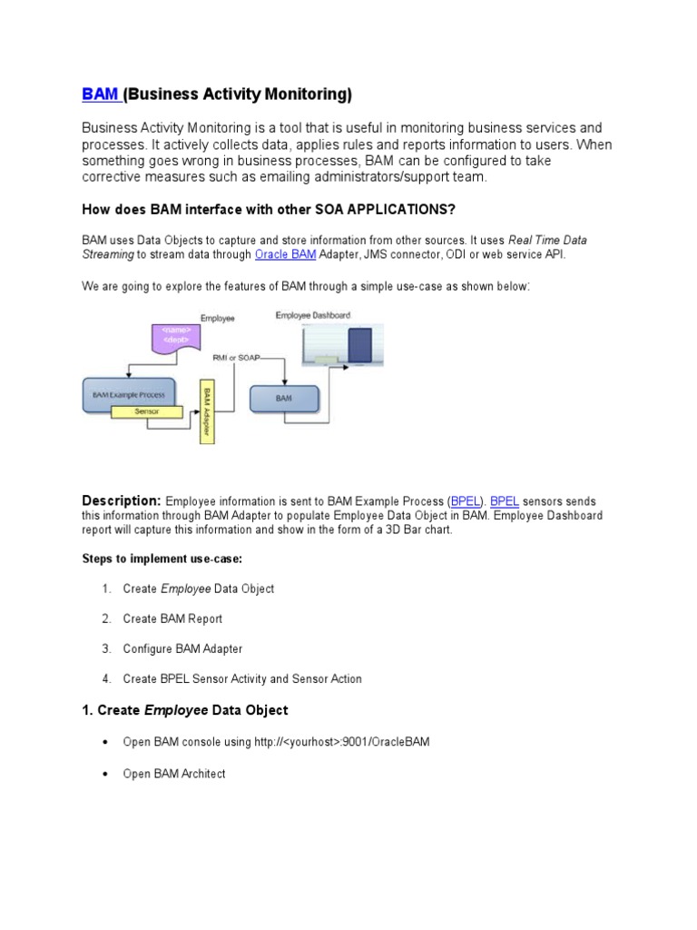 Business Activity Monitoring | PDF | Application Programming Interface ...