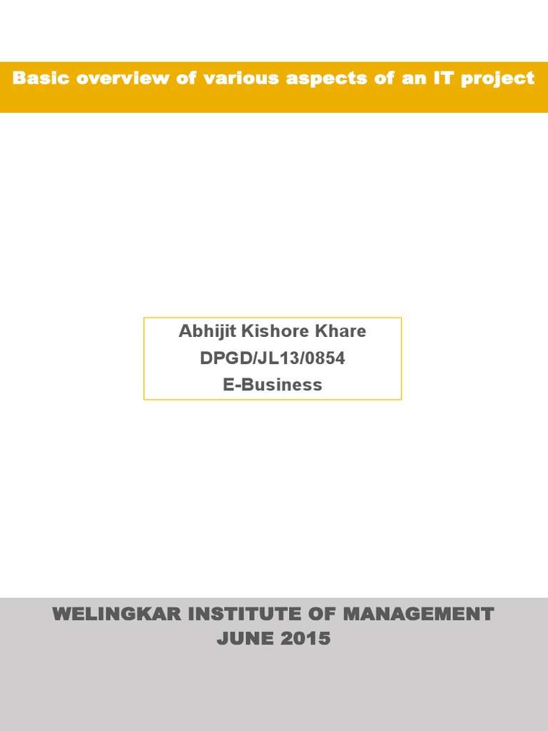 Basic Overview of Various Aspects of An IT Project | PDF | Audit ...