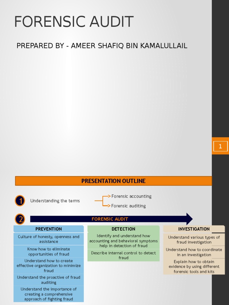 Forensic Audit: Prepared by - Ameer Shafiq Bin Kamalullail | PDF ...