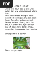 Alat Muzik Erofon | PDF