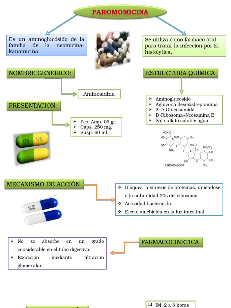 Paromomicina y Neomicina | PDF | Diarrea | Drogas
